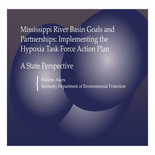 Mississippi river basin goals akers | PDF