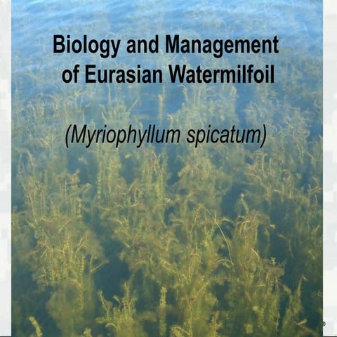 Biology and Management of Eurasian Watermilfoil | PDF