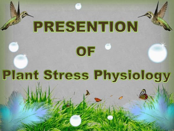 Leaf, stomata & stem anatomy | PPTX