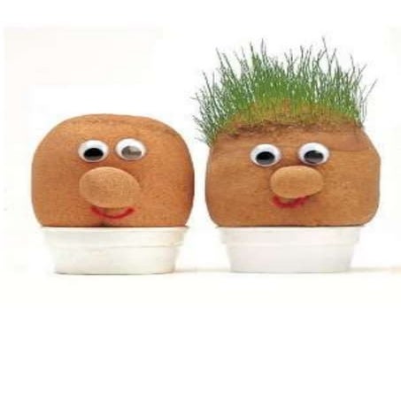 Mister grass | DOCX