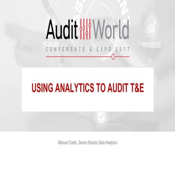 Using Analytics to Audit T&E | PDF
