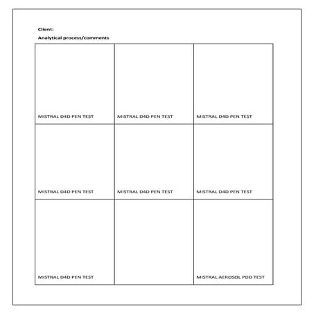 Mistral d4d test template | DOCX