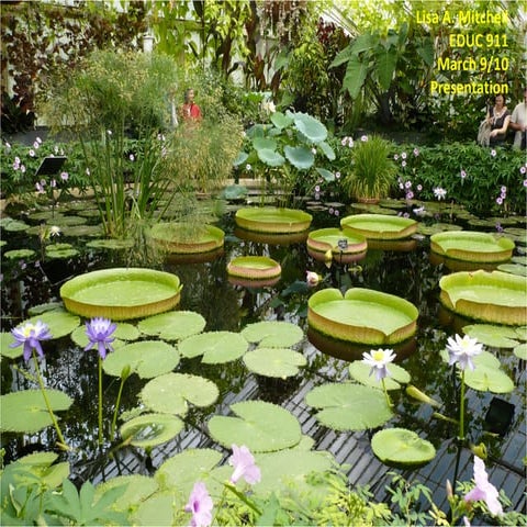 Mitchell Presentation | PPT