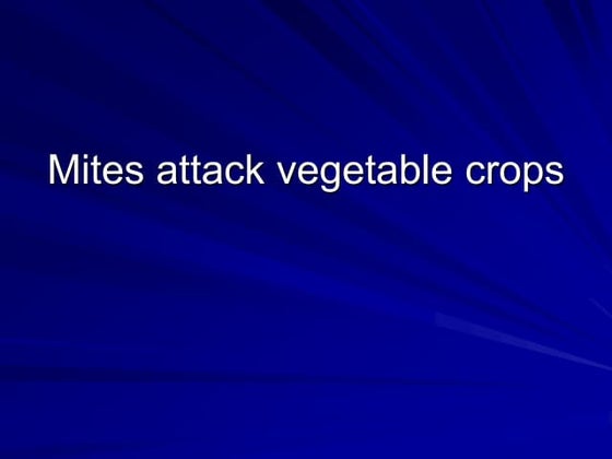 IPM- Stink bugs | PPT