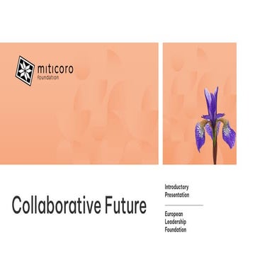 Miticoro Foundation Introductory Presentation.pdf
