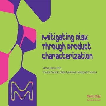 Mitigating Risks through Product Characterization | PDF