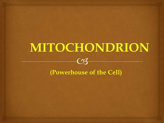 Mitochondria (introduction function & Structure) | PPT