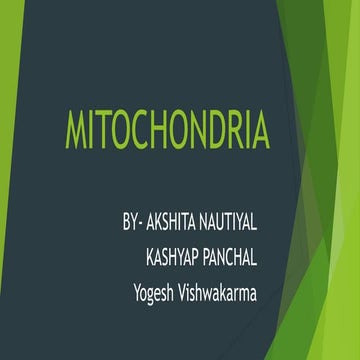 Mitochondria (introduction function & Structure) | PPTX