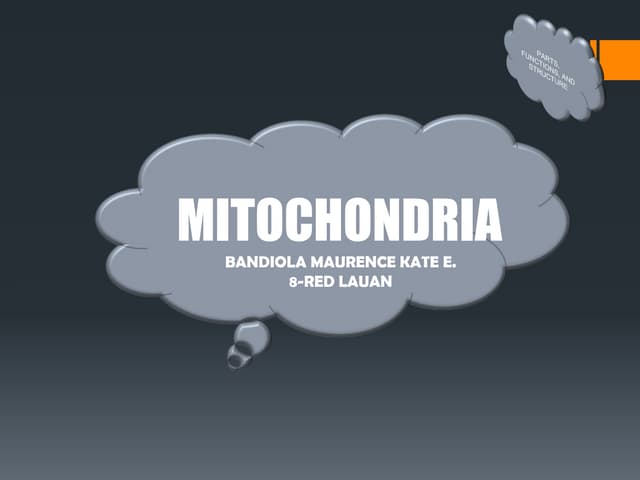 Biology 1 - Qtr. 2 - Lesson 4 - Structure of Mitochondria.pptx