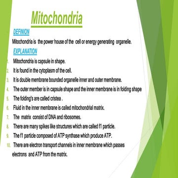 Mitochondria.pptx
