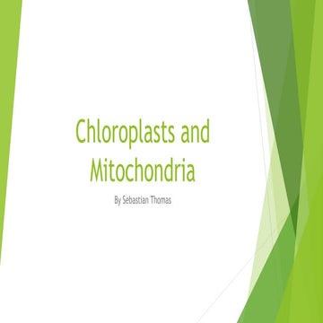Mitochondria and Chloroplasts | PPTX | Biological Sciences | Science