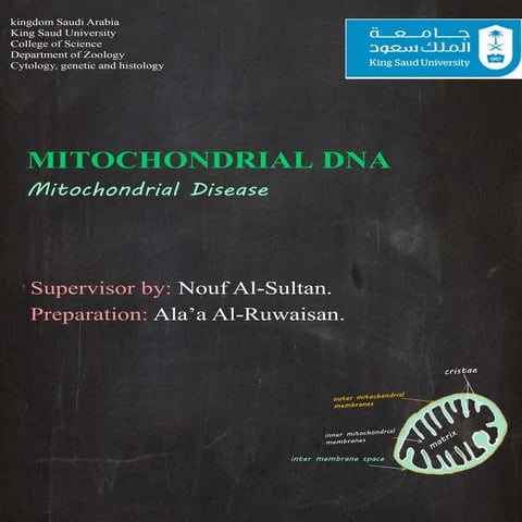 Mitochondrial dna | PPTX