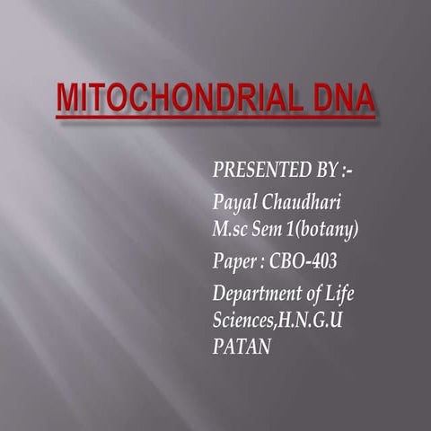 Mitochondrial dna | PPTX
