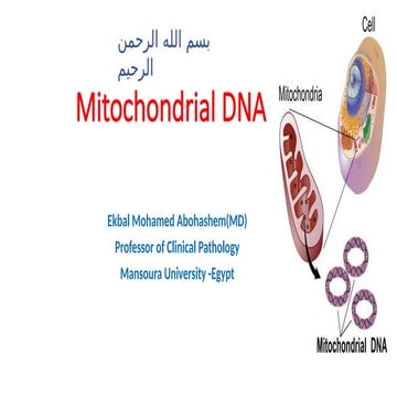 Mitochondrial DNA ,structure,function,and related diseases. | PPTX