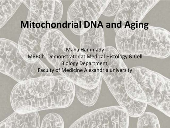Mitochondria and ribosomes structure function and disorders | PPT