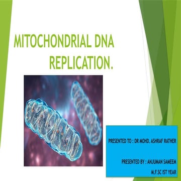 MITOCHONDRIAL_DNA_REPLICATION[1][1].pptx