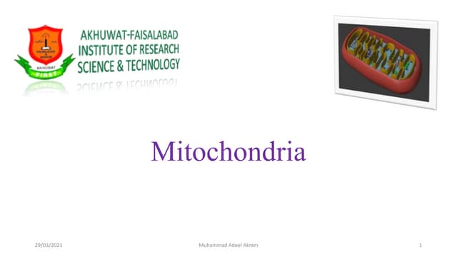 Cell mitochondria ppt | PPTX