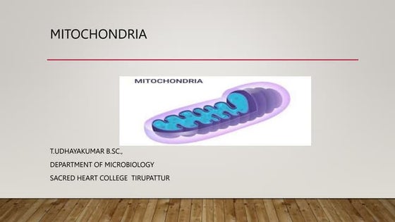 Ultrastructure and functions of Mitochondira.pptx | Biological Sciences | Science