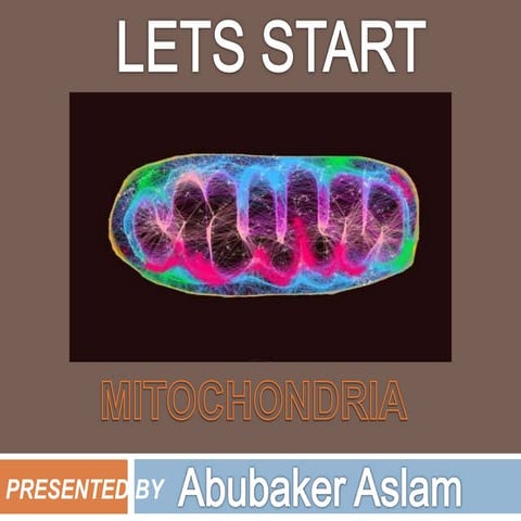 Mitochondria presentation for all kind of zoology and biology students ...