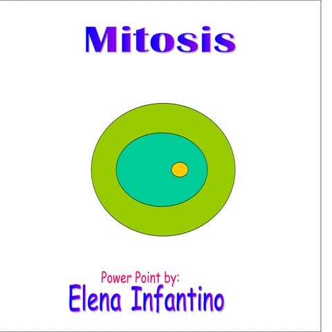 Mitosis Presentation | PPT