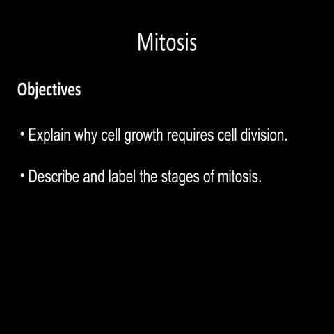 Mitosis | PPT
