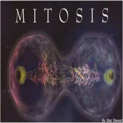 Mitosis Flipbook | PPTX