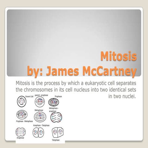Bio cell cycle and cell division | PPT