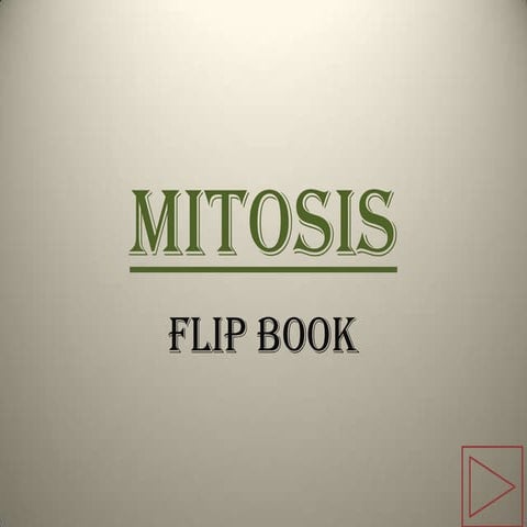 Mitosis | PPT