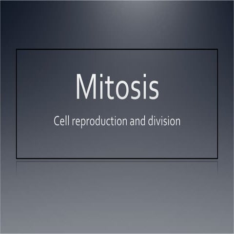 Mitosis | PPT