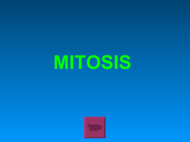 Mitosis Notes 7th grade level | PPT