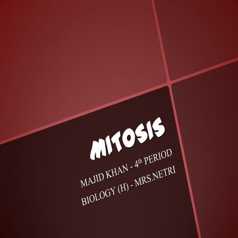 Mitosis Flipbook Powerpoint | PPTX