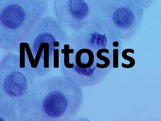 Mitosis And Meiosis | PPT | Reproductive Health | Diseases and Conditions