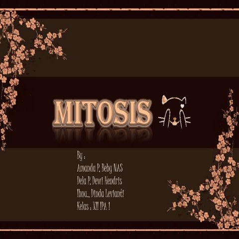 Mitosis | PPTX