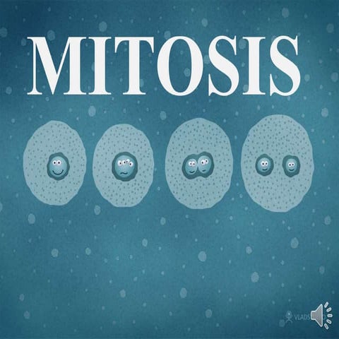 MITOSIS: LIFE SCIENCES FOR GRADE 10`S | PPTX