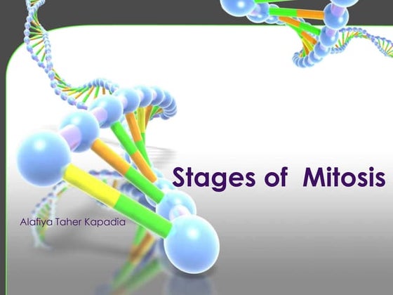 Mitosis Ppt