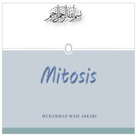 Mitosis | PPT