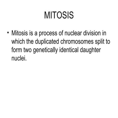 Mitosis | PPT