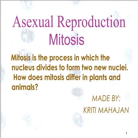 Mitosis | PPT