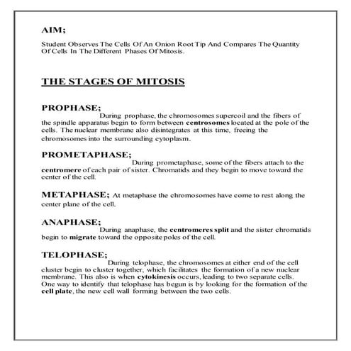 Mitosis.docx 1 | DOCX
