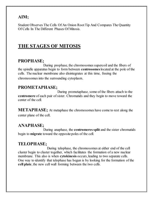 Biology investigatory project on mitiosis | DOCX | Gardening | Home & Garden