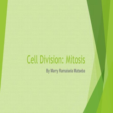 Mitosis | PPT