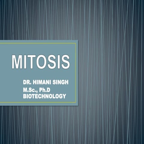 Mitosis | PPT