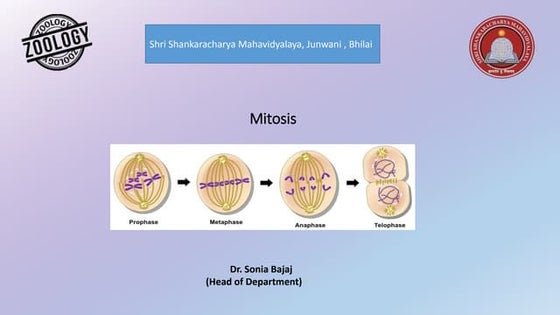 Mitosis | PPT