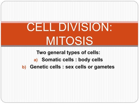 Mitosis | PPT