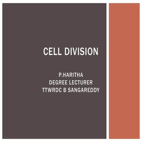 MITOSIS: LIFE SCIENCES FOR GRADE 10`S | PPTX