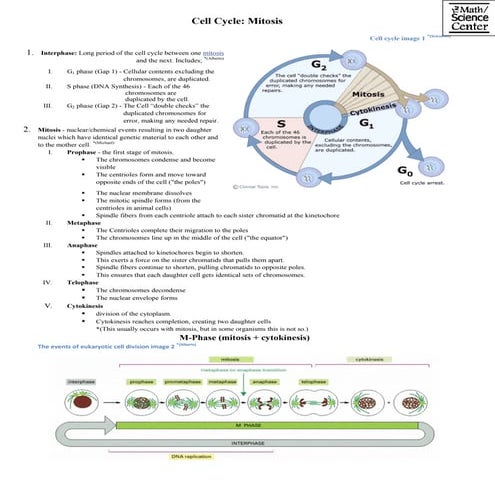 General Biology Senior High School (mitosis).pdf