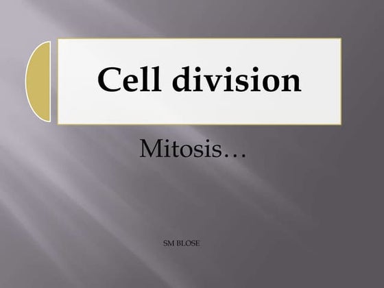 WEEK 4- MITOSIS 2n=6 ANDAPPLICATION.pptx