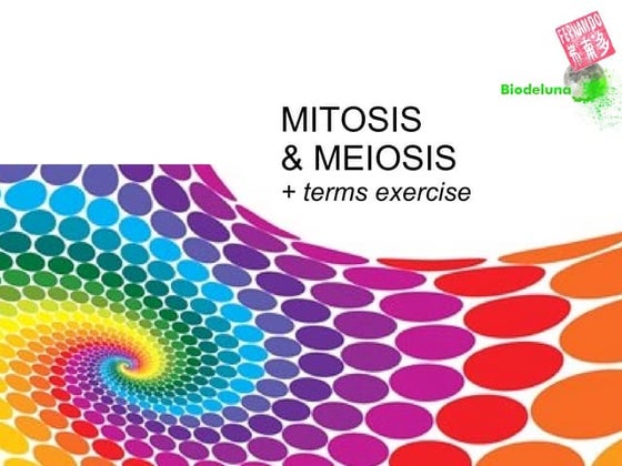 Mitosis Lesson 2 | PPT