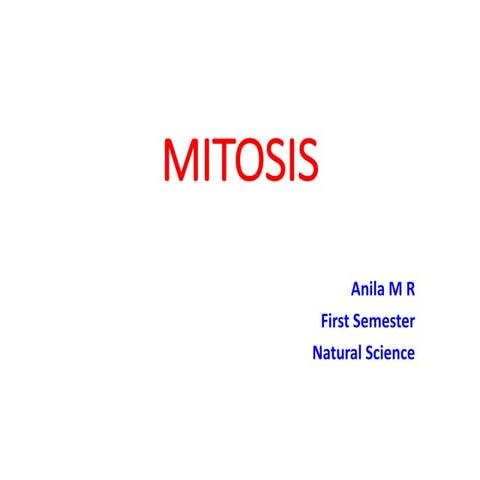 mitosis.ppt