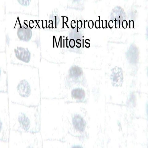 Senior High School Material Mitosis an Asexual Reproduction.ppt